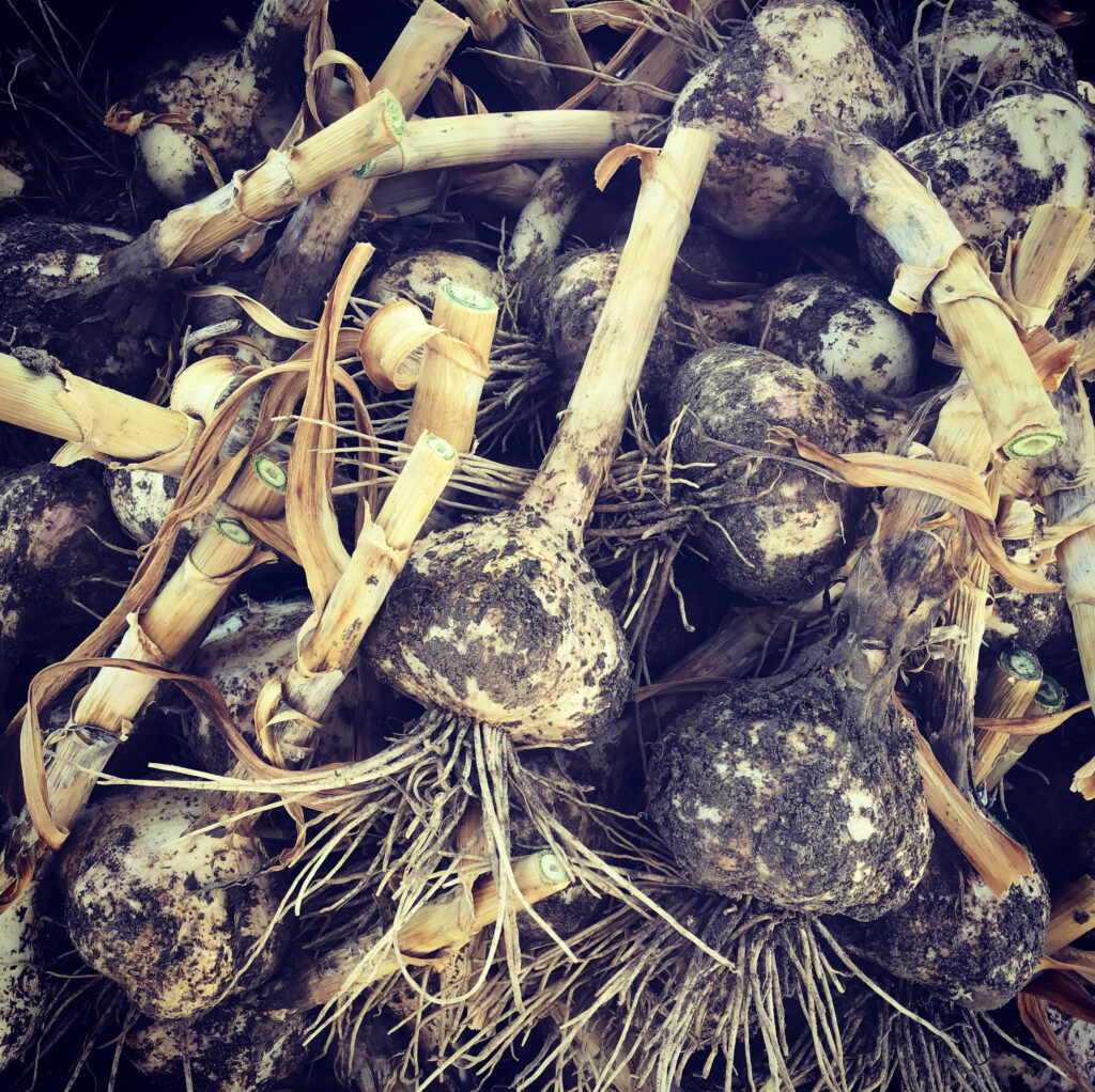 Quail Run Farm – Quail Run Farm